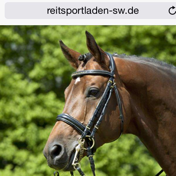 Wozu ist Zaumzeug mit 2 Zügeln gut? (Pferde, Reiten, Gebiss)