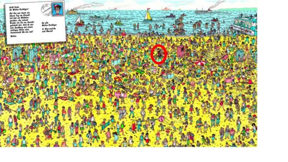 Wo ist Walter :3? (Kinderbuch, Suchspiel)