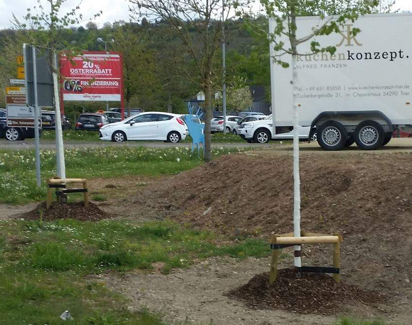 Warum brauchen Bäume einen niedrigen Dreibock? (Garten, Baum)