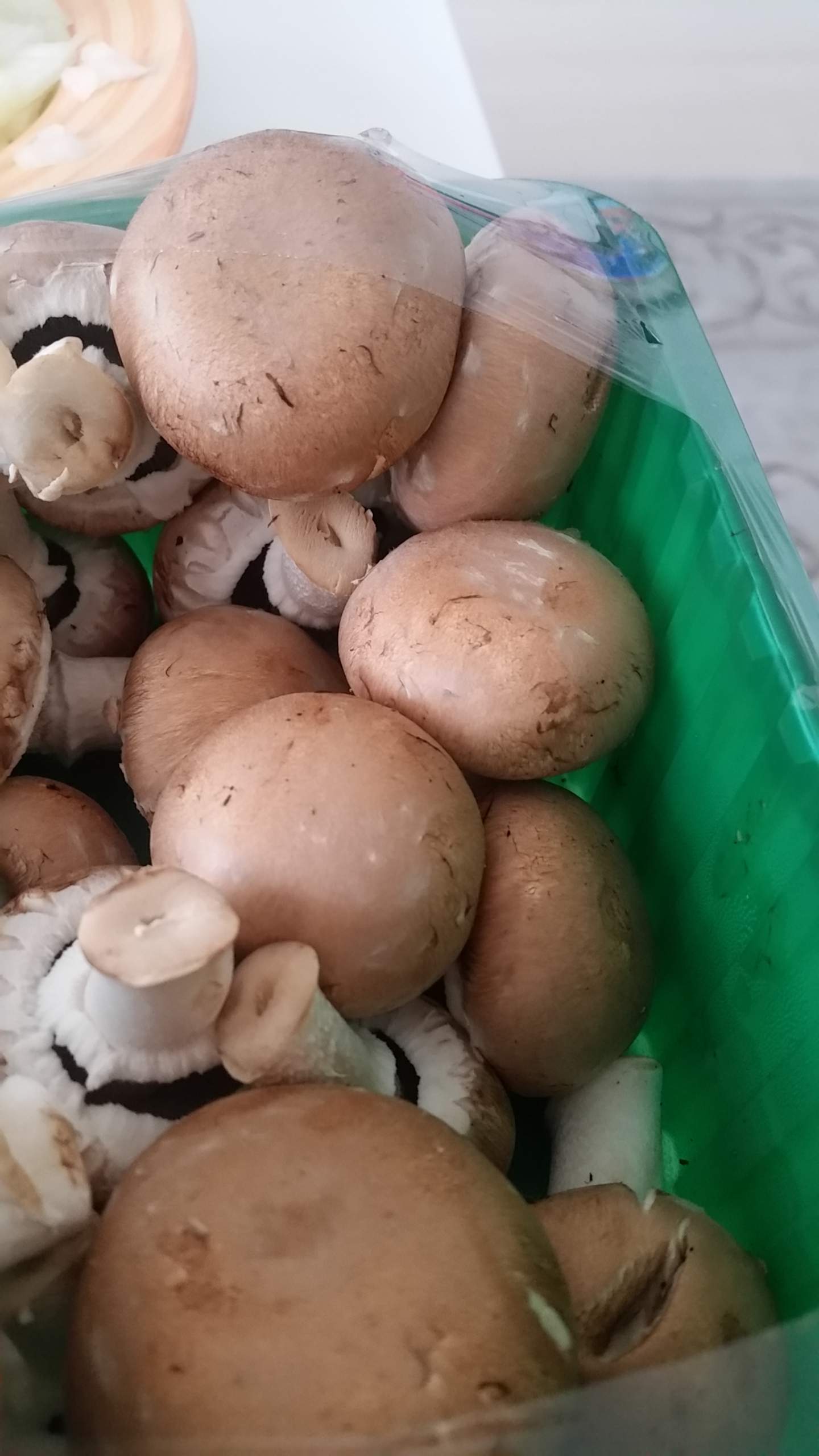 Champignons - Schimmel oder Pilzmyzel? (Lebensmittel, Hygiene)