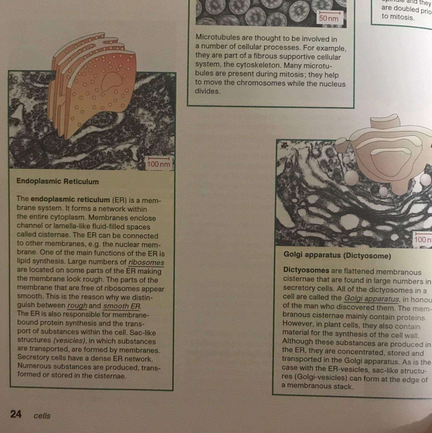 Welche Organelle haben keine Membran, eine Membran und Doppelmembran ...