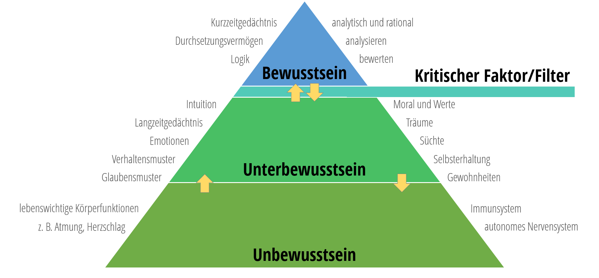Ist das Unterbewusstsein intelligent? (Psychologie, Intelligenz, Hypnose)
