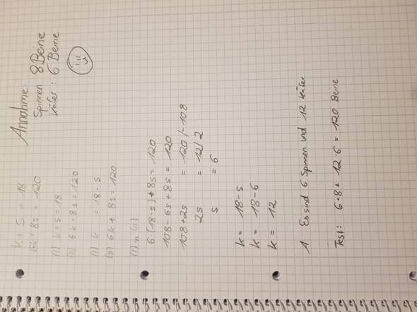 Wie soll ich bei so einer Textaufgabe vorgehen? (Mathe, Mathematik ... Wie soll ich bei so einer Textaufgabe vorgehen? (Mathe, Mathematik ...