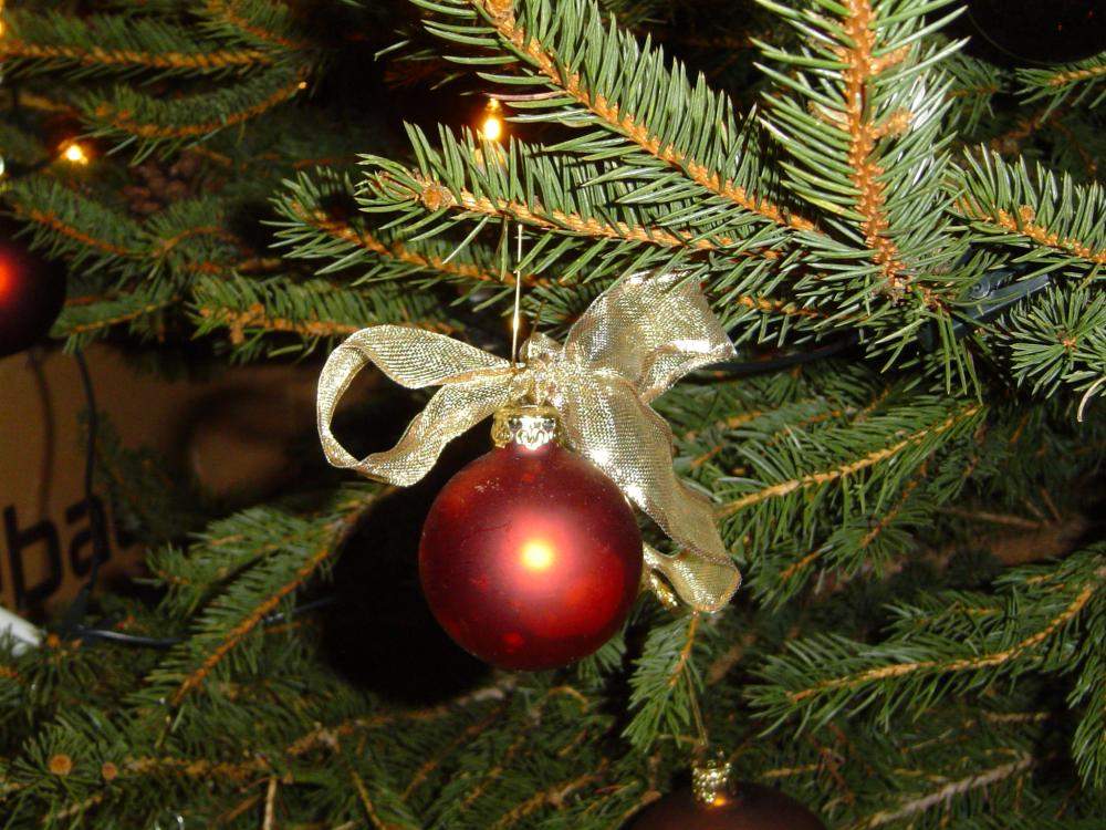 Welche Ideen habt Ihr für den Weihnachtsbaumschmuck? (gutefrage.net ...