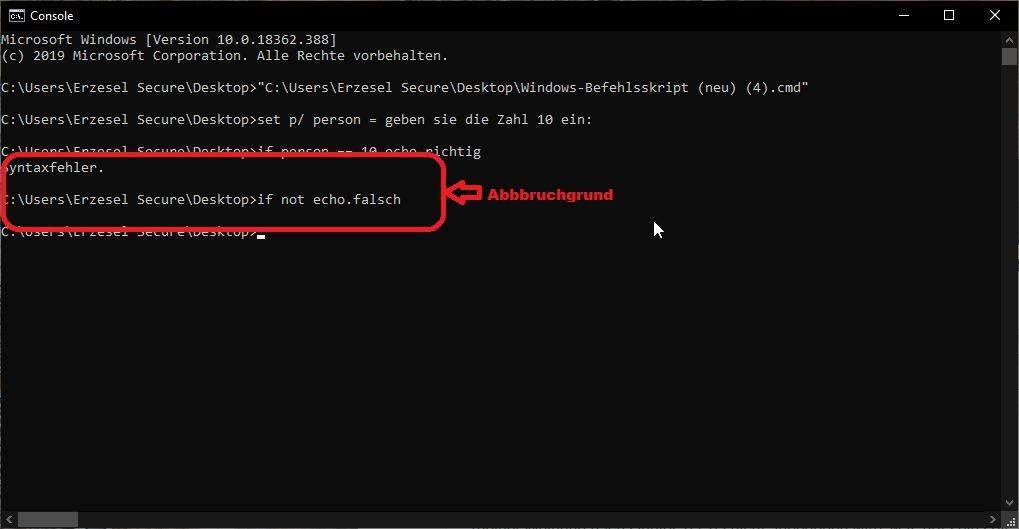 Warum wird der Pause Befehl ignoriert (Batch)? (Computer, programmieren ...