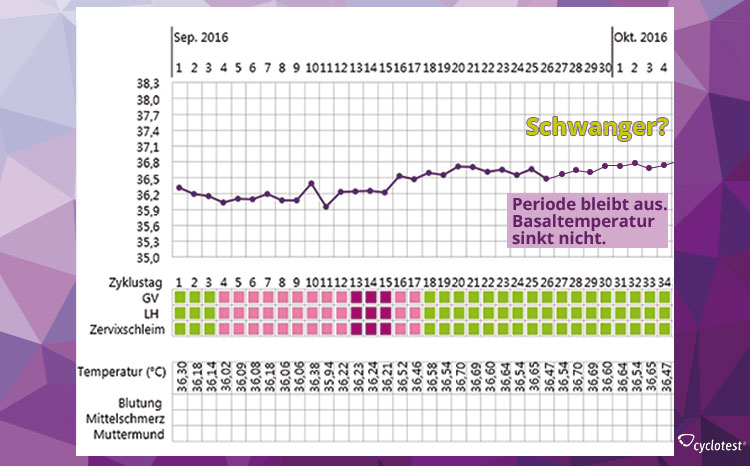 Was versteht man unter einer erhöhten Basaltemperatur? (Schule ...