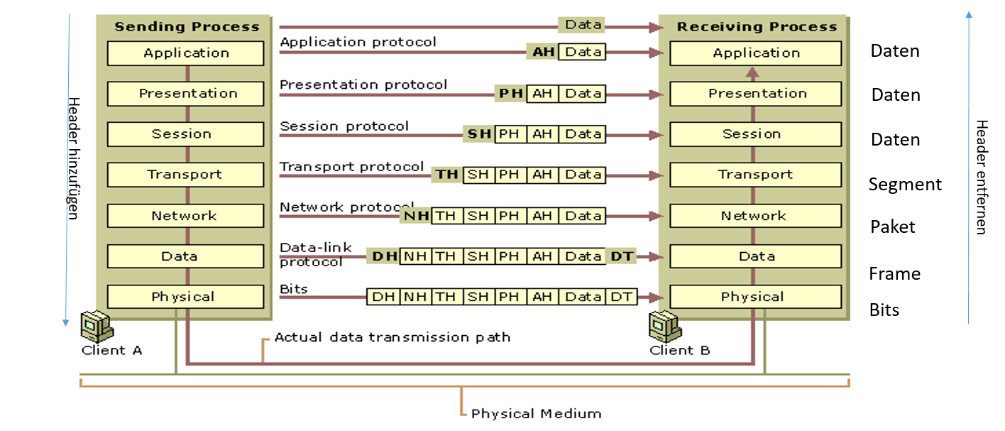 OSI - Wie genau sieht die horizontale Kommunikation zwischen Peer ...