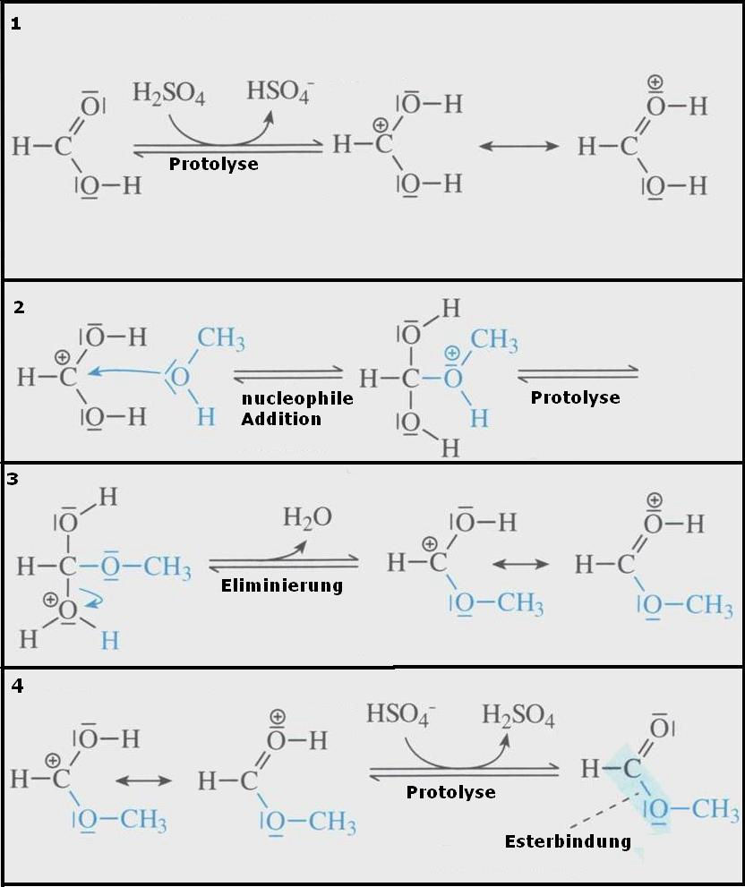 Veresterung von sauren und Alkoholen? (Schule, Chemie)