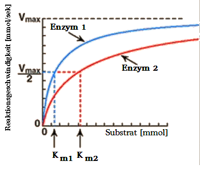 Michaelis-Menten-Konstante? (Computer, Schule, Biologie)