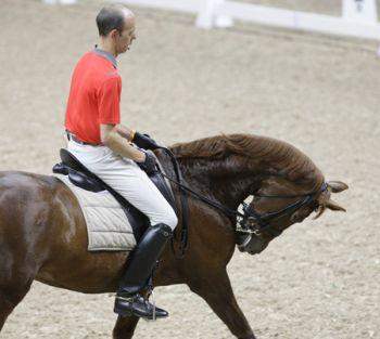 Rollkur, was ist das? (Pferd, Reiten)