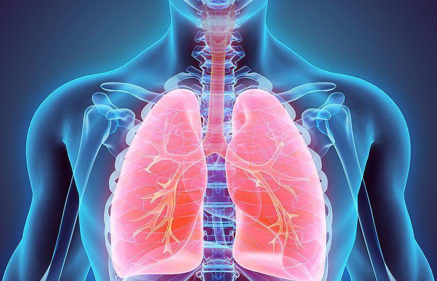 Wie wichtig ist Sauerstoff für die Gesundheit? (Gesundheit und Medizin)