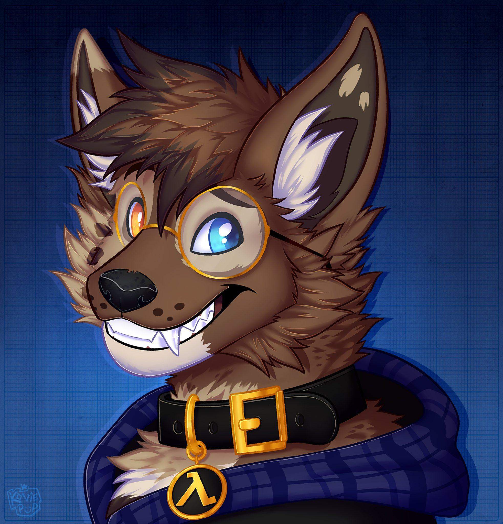 Furrysuit? (Niedersachsen, Furry, Fursuit)