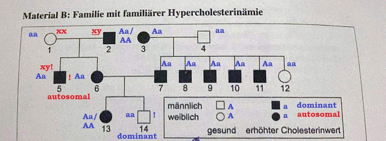 Erbgänge? (Biologie, Genetik)