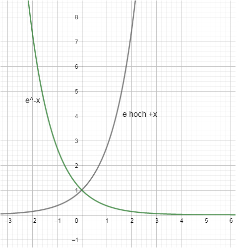 Wie gehe ich vor, wenn ich das Globalverhalten einer e-Funktion ...