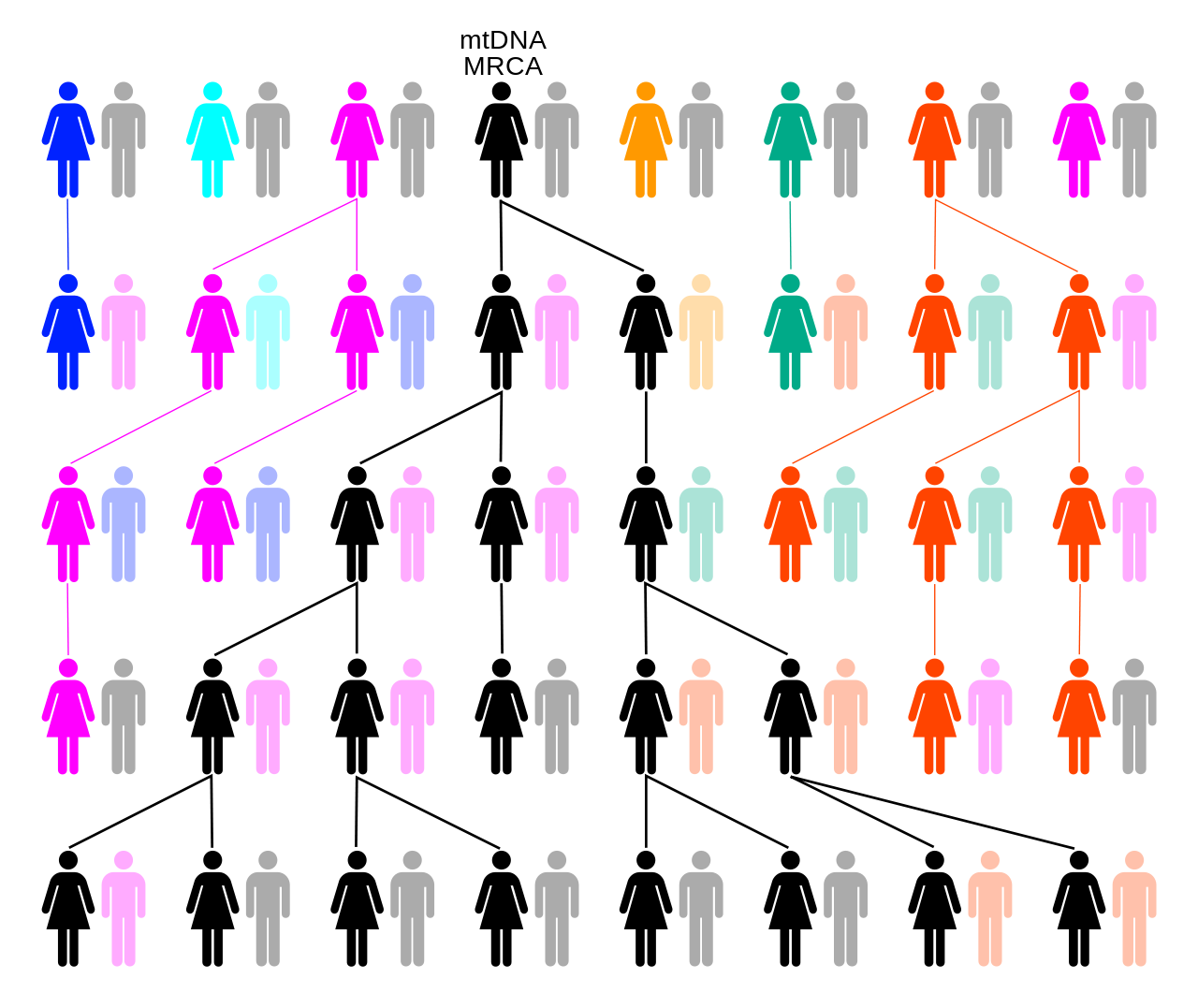 Was sagt meine Haplogruppe aus? (Biologie, Wissenschaft, Genetik)