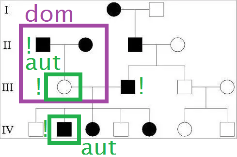 Ist dieser Erbgang rezessiv oder dominant / gonosomal oder autosomal ...