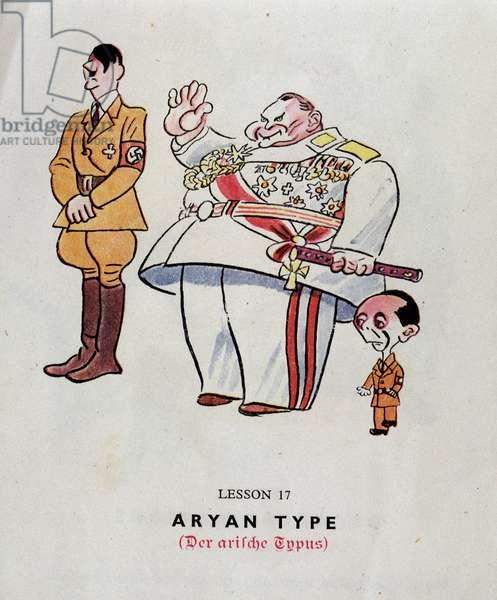 welche Merkmale hat ein reinrassiger Arier? (Politik, Geschichte ...