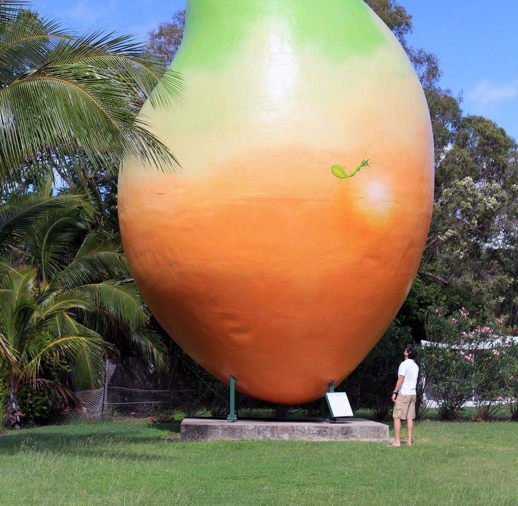 Wie viel wiegt eine Mango? (Gewicht, Obst)