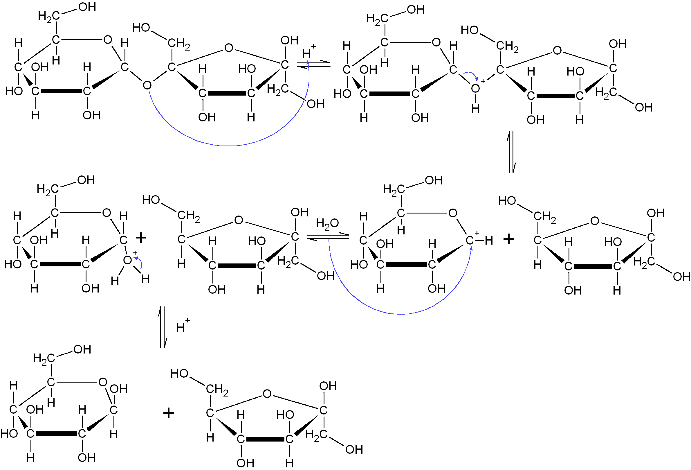 Hydrolyse Amylose und Salzsäure? (Reaktion, Reaktionsgleichung, Säure)