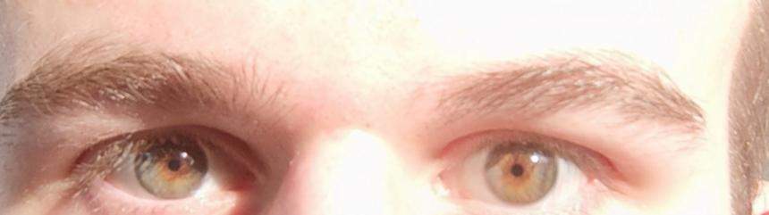 Hunter oder prey eyes? (Augen, Augenbrauen)