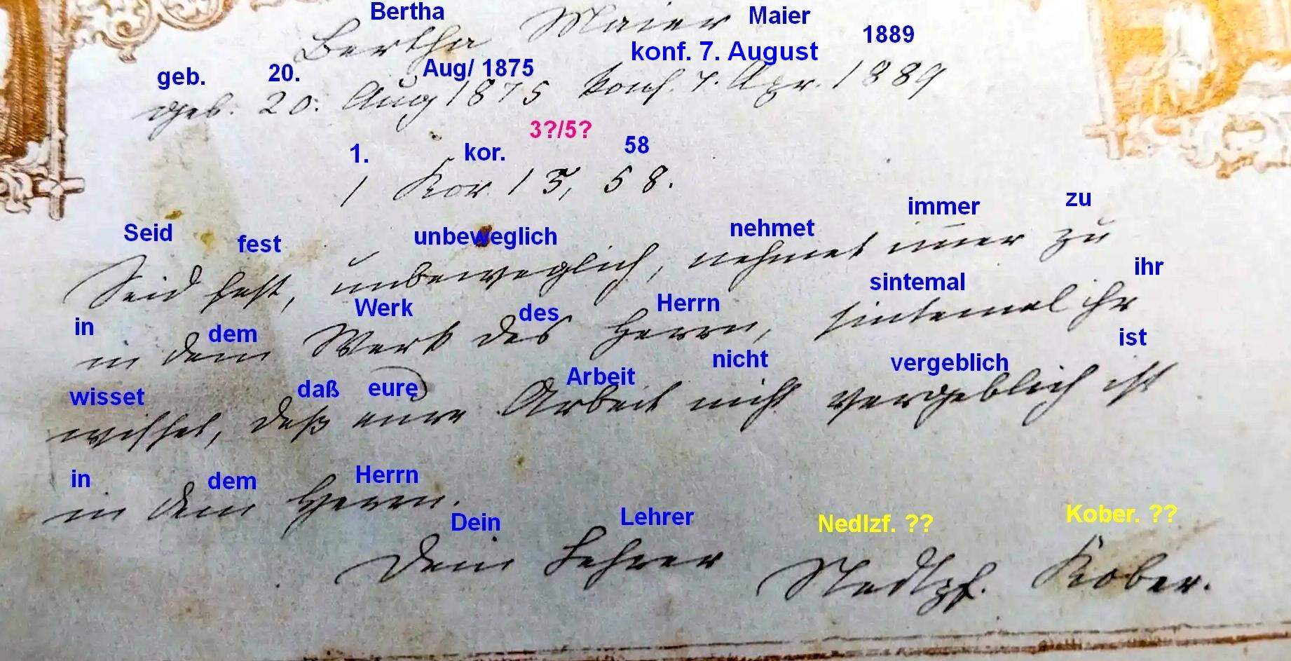 Kann jemand Sütterlin-Schrift? Bitte diesen kurzen Text übersetzen.? (Schriftart, altdeutsche ...