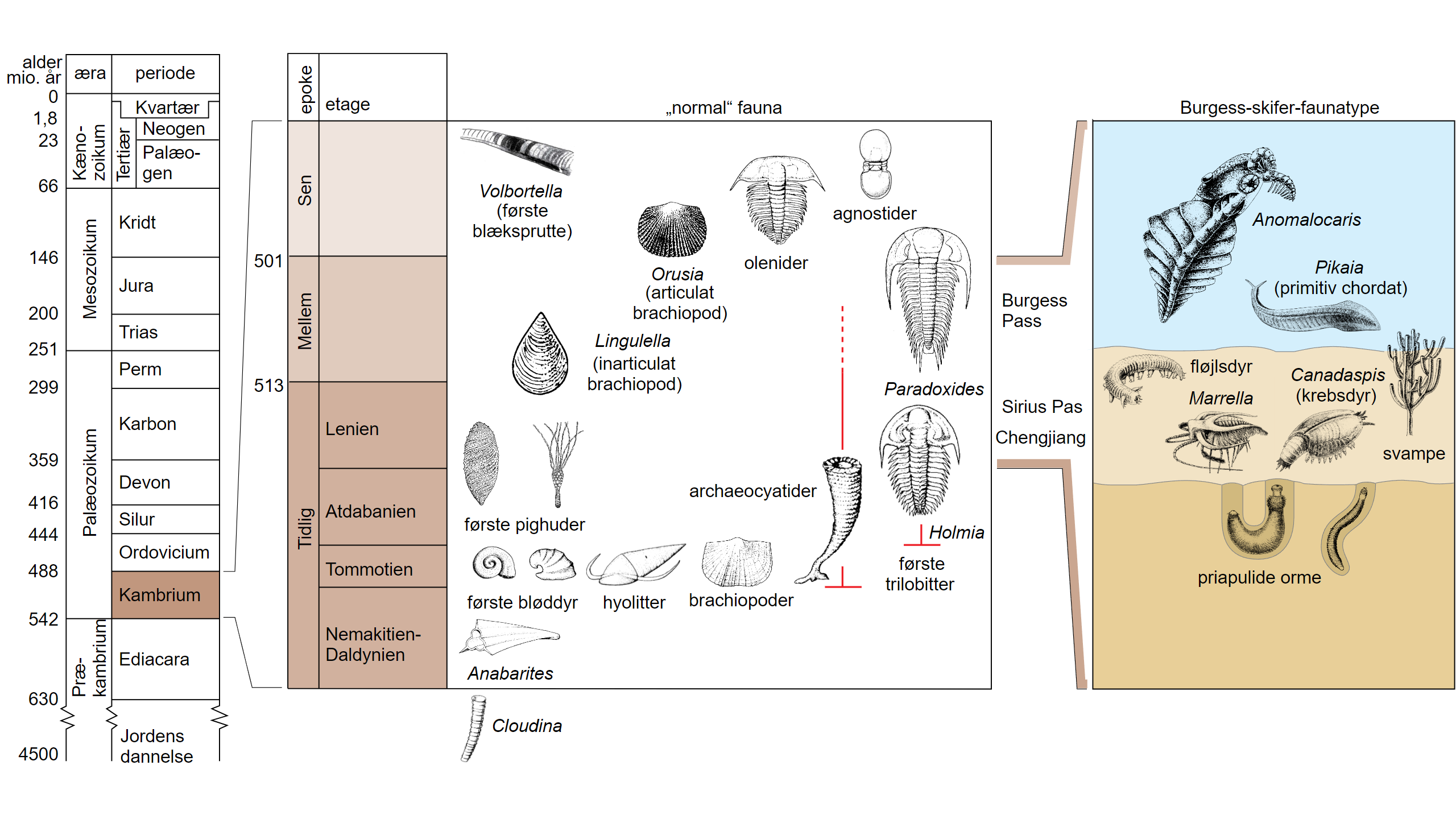 Wenn Zeitreisen möglich wären, welche ungewöhnliche Ära oder Zukunft ...