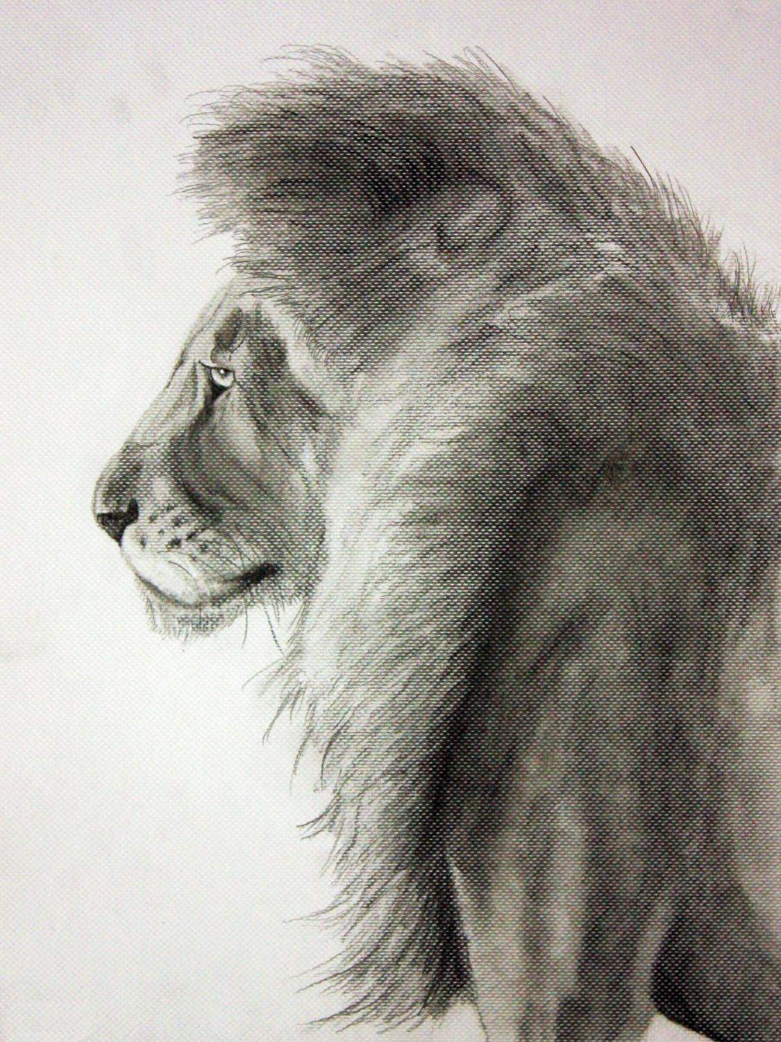 zeichnen lernen? (Hobby, Zeichen, Anfänger)