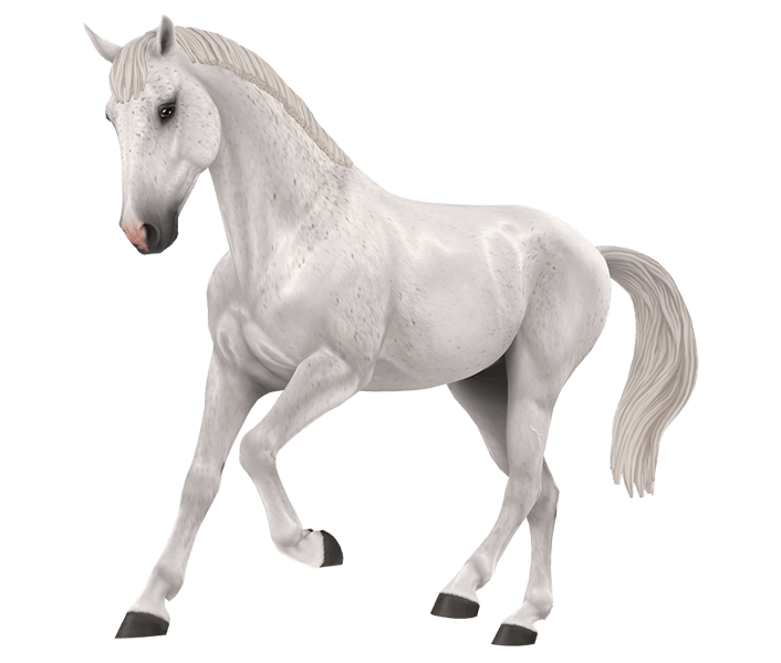 Welche neuen Pferderassen und Updates in SSO? (Computerspiele, Funktion ...