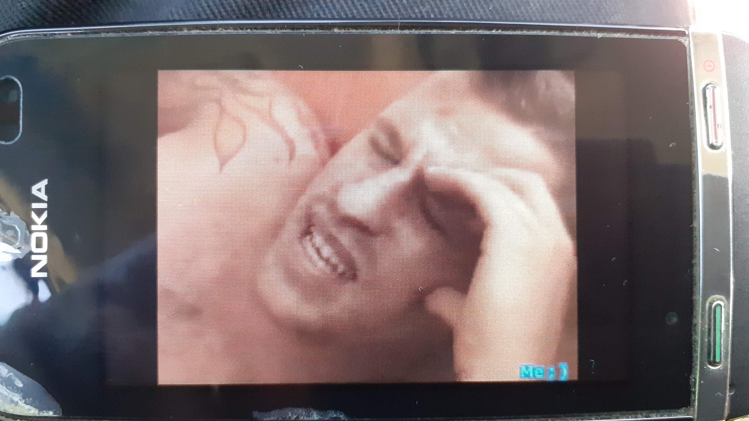 Hat jemand Informationen zum Verbleib von "Voll Assi Toni"? (Frauen ...