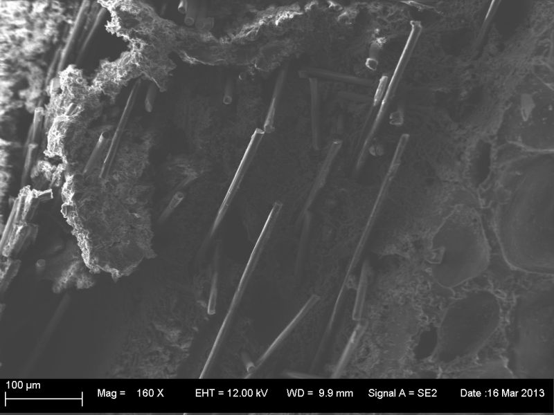 Asbest in PVC Bodenbelag? REM Aufnahmen und EDX (bauen, Mikroskopie ...