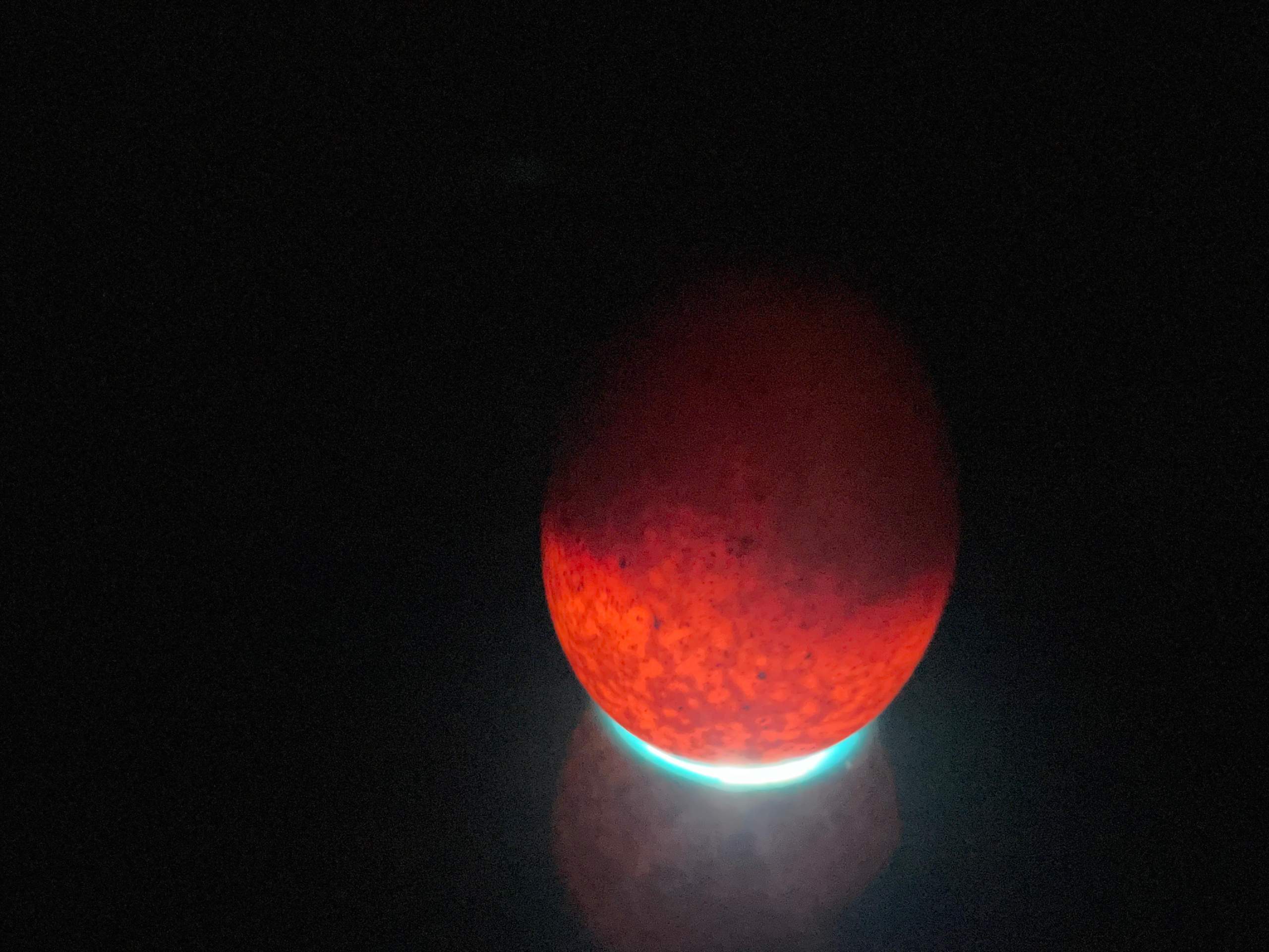 22. Tag? (Eier, Huhn, Brut)