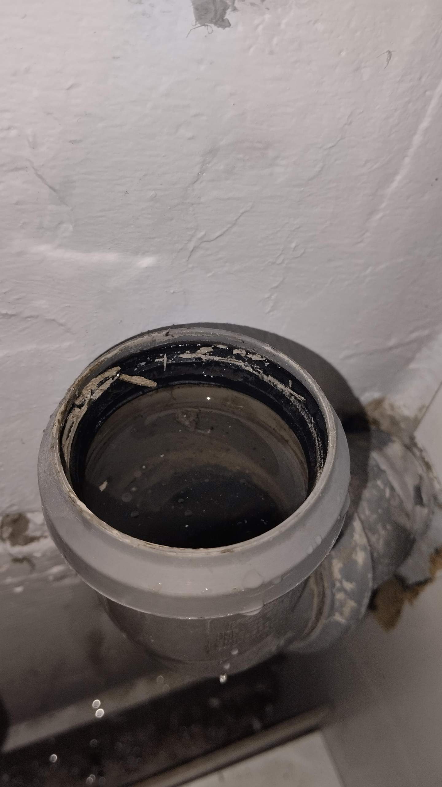 Abfluss der Spüle ganz am Ende des Rohres verstopft? (Sanitär ...