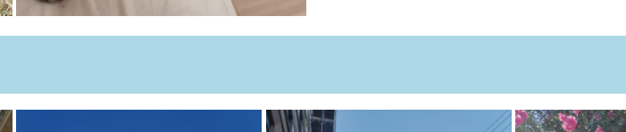 Abstand zwischen Bild und Text in CSS entfernen? (Computer, programmieren, HTML)