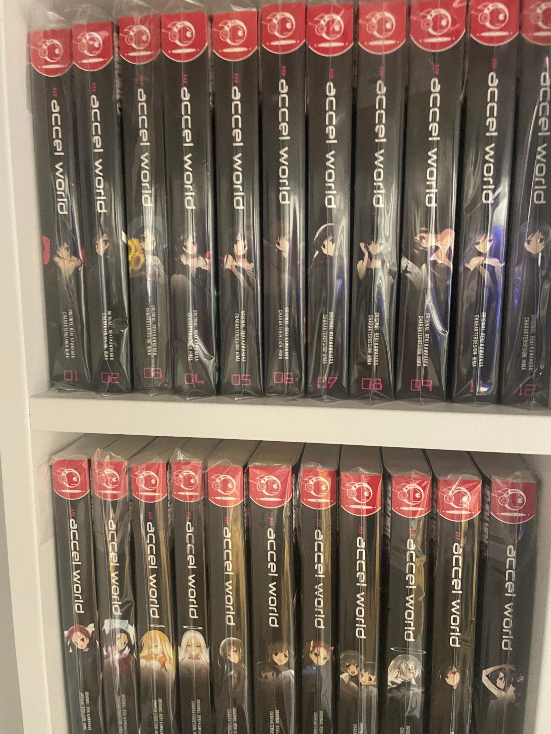 Accel world novel 10? (Light Novel)