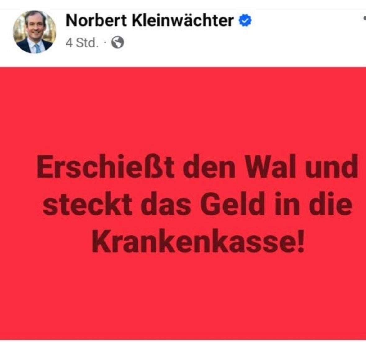 AfD, Politiker, will den Wal Timmy erschießen was ist eure Meinung dazu ...