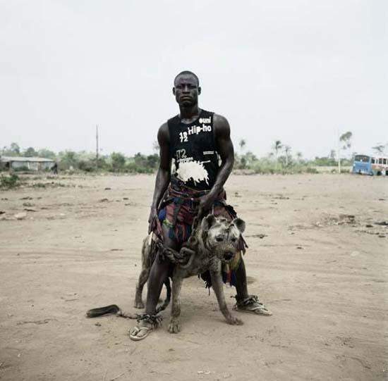 "African Pitbull"? (Hund, legal, Afrika)