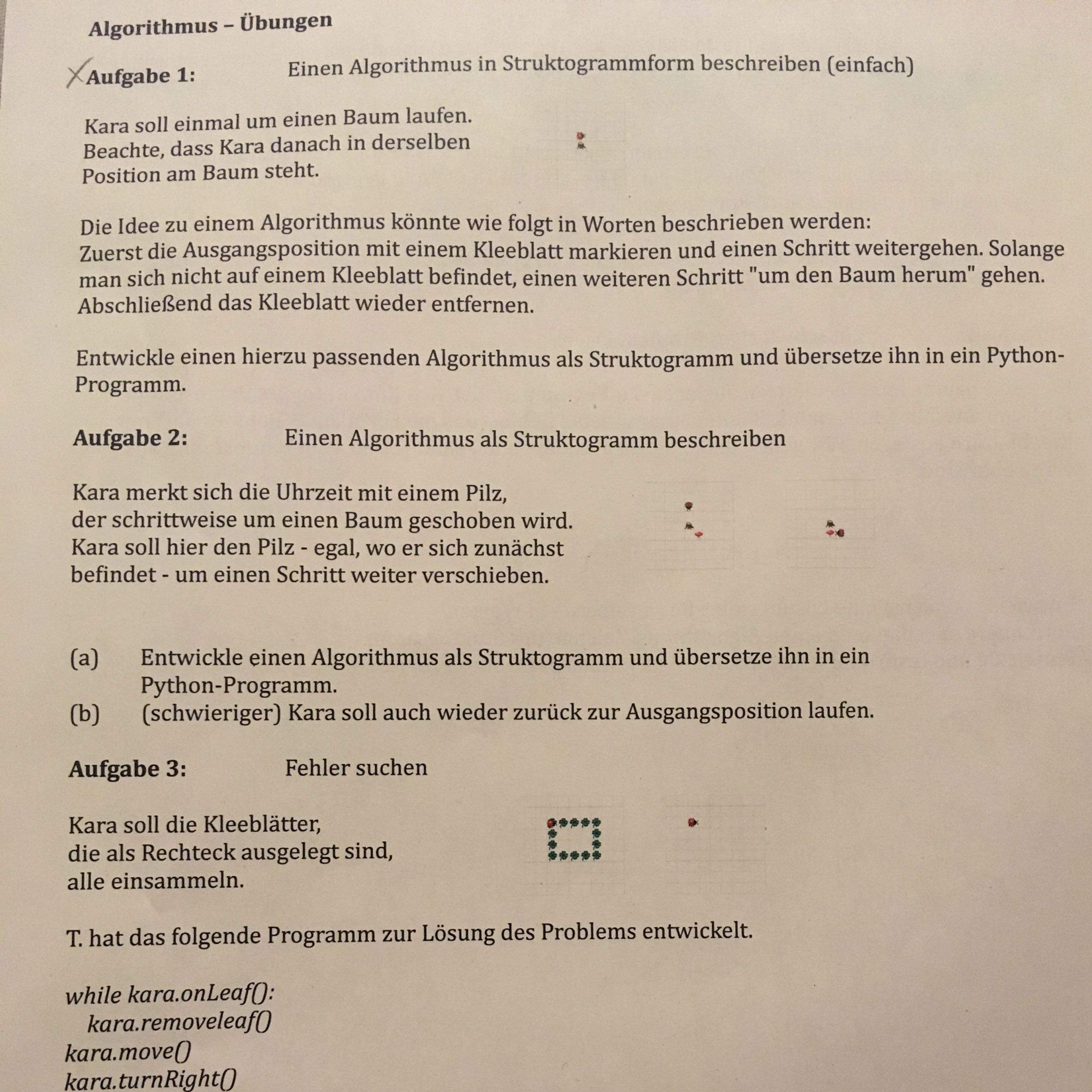 Algorithmus bei Kara? (Schule, programmieren, Informatik)