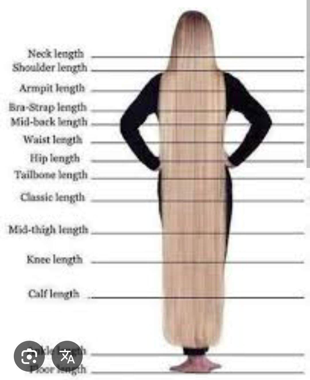 An alle Frauen: Welche Haarlänge in diesem Chart habt Ihr? (Style ...