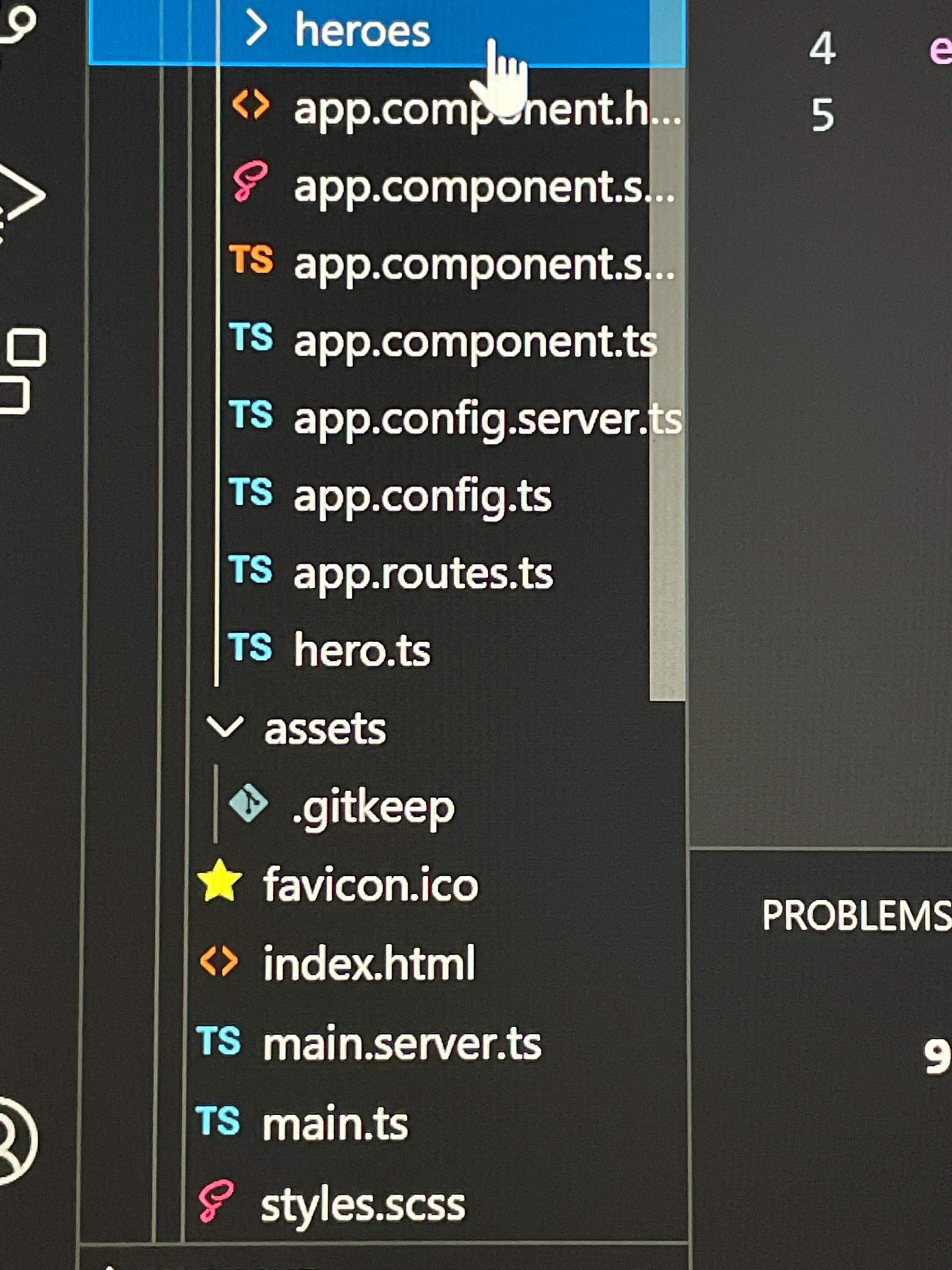 Angular File Fehlt Webseite Javascript Programmiersprache
