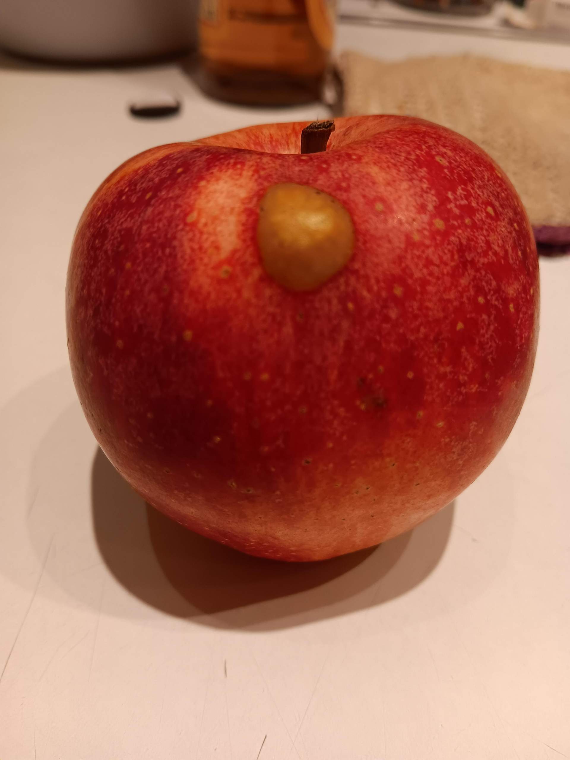 Apfel mit gelber Beule? (Krankheit, Apfelsaft)