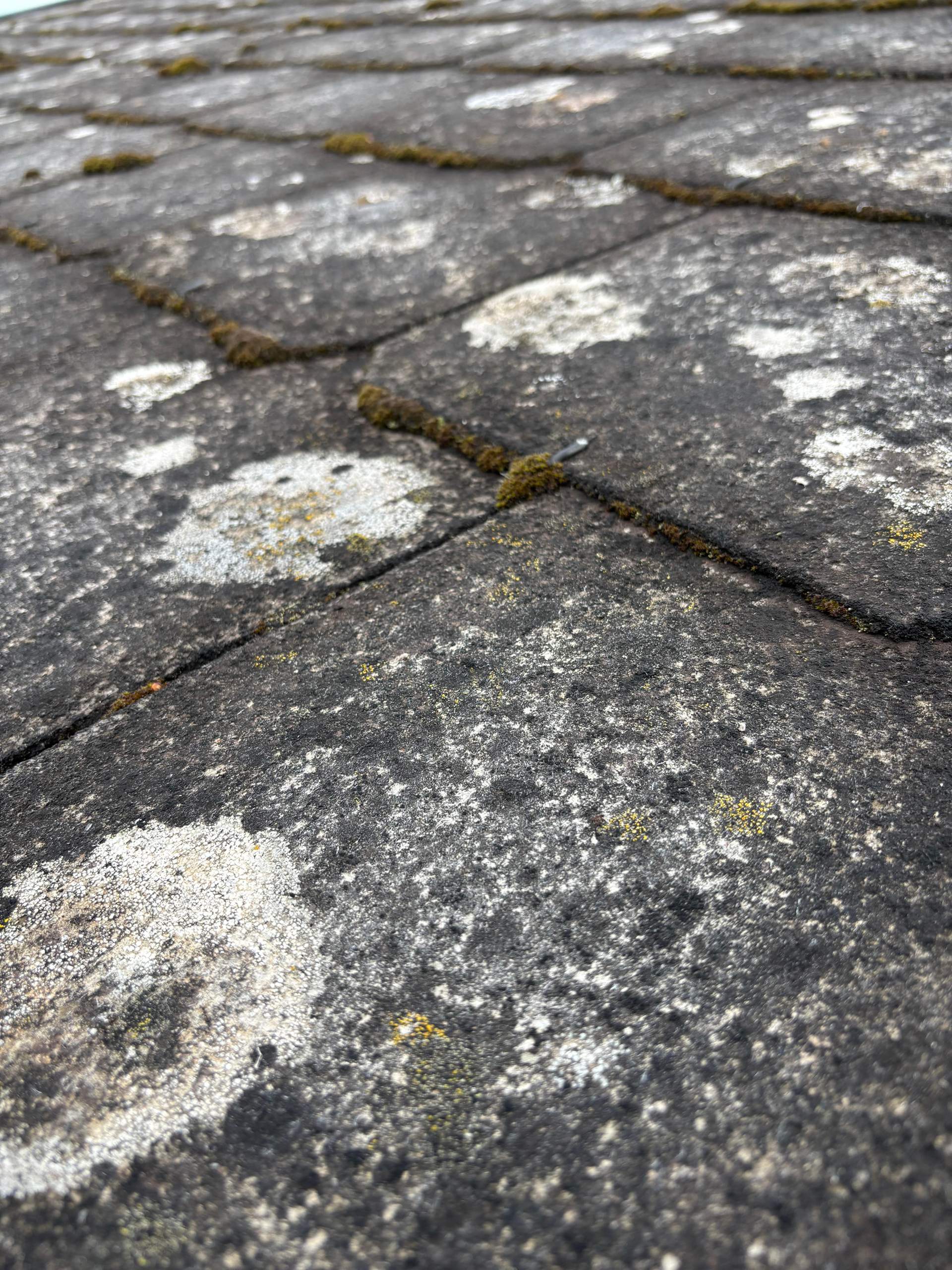 Asbest in alten Dachplatten? (Gesundheit, Renovierung, Baustoffe)