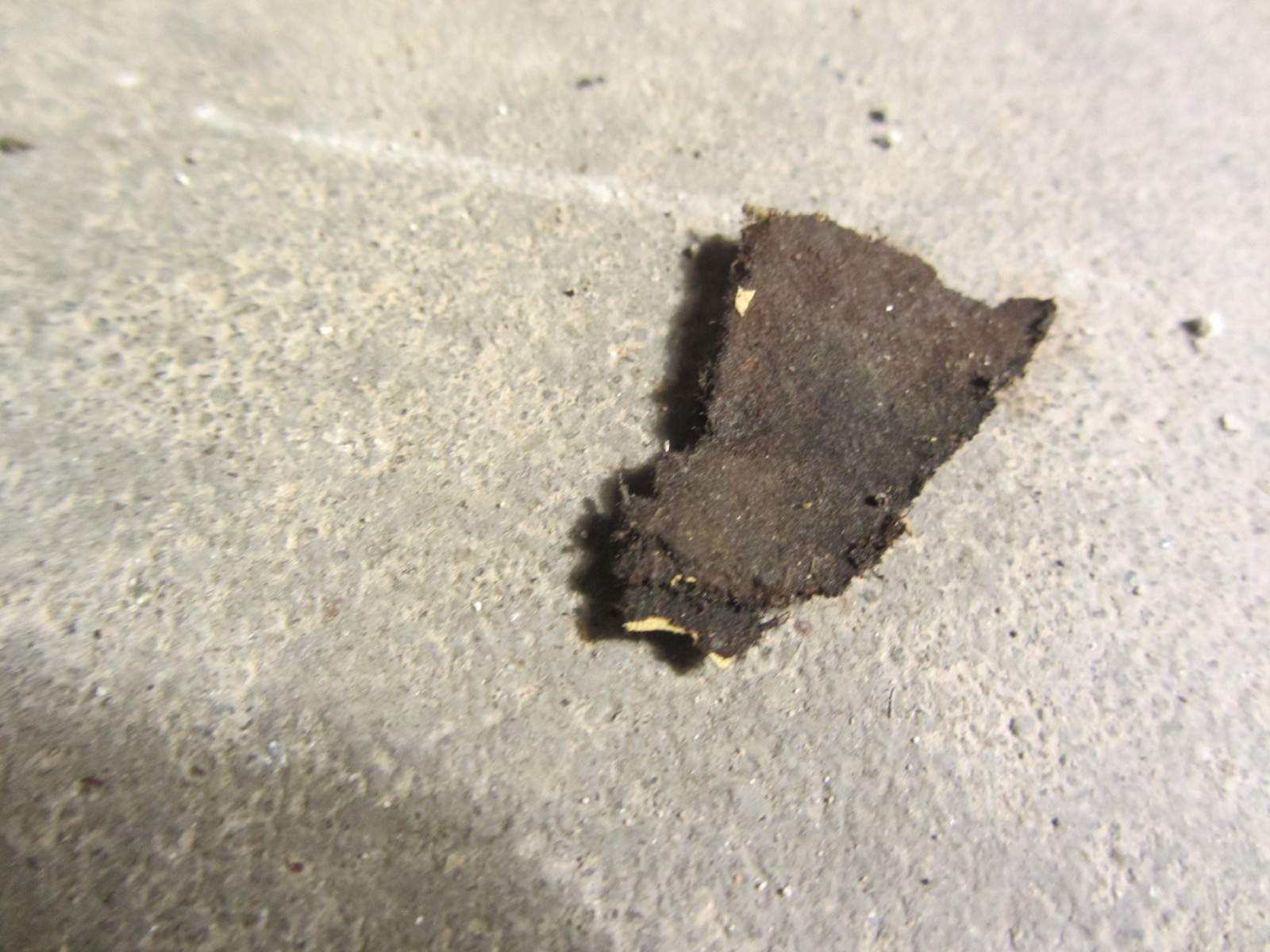 Asbest in Bodenbelag wie erkennen? Mit Fotos.