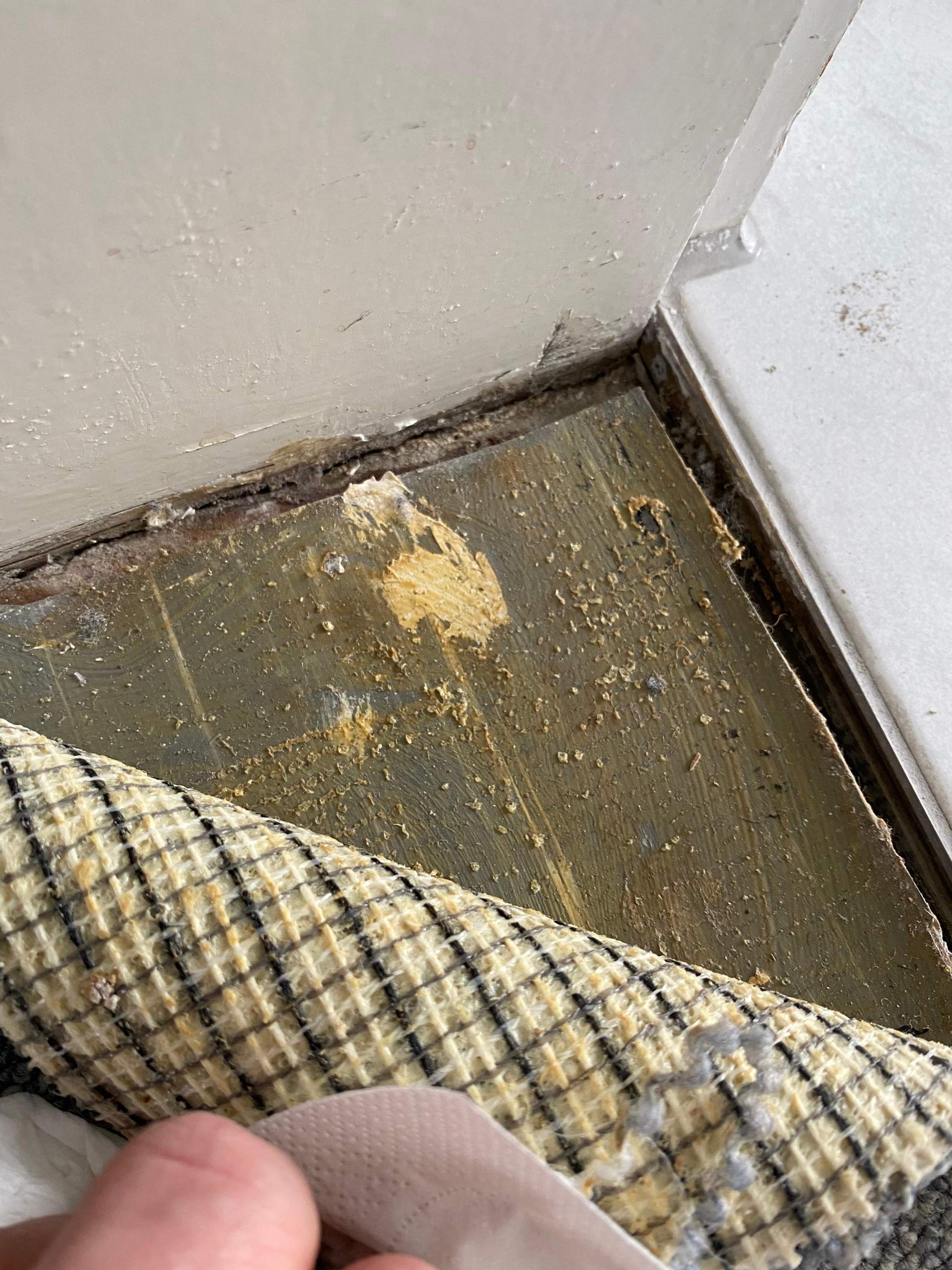 Asbest in PVC Bodenbelag? (Haus, Renovierung, renovieren)