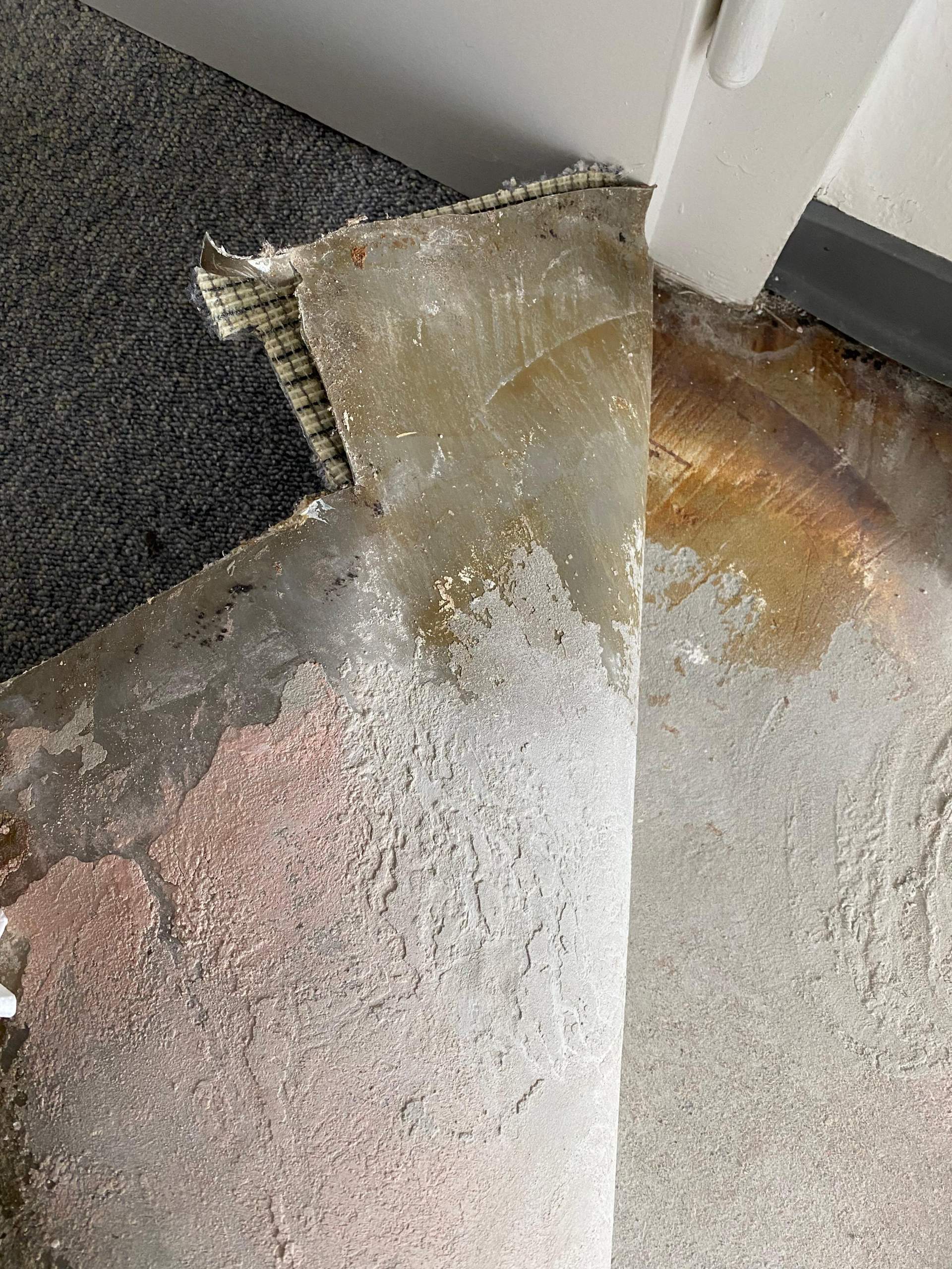 Asbest in PVC Bodenbelag? (Haus, Renovierung, renovieren)