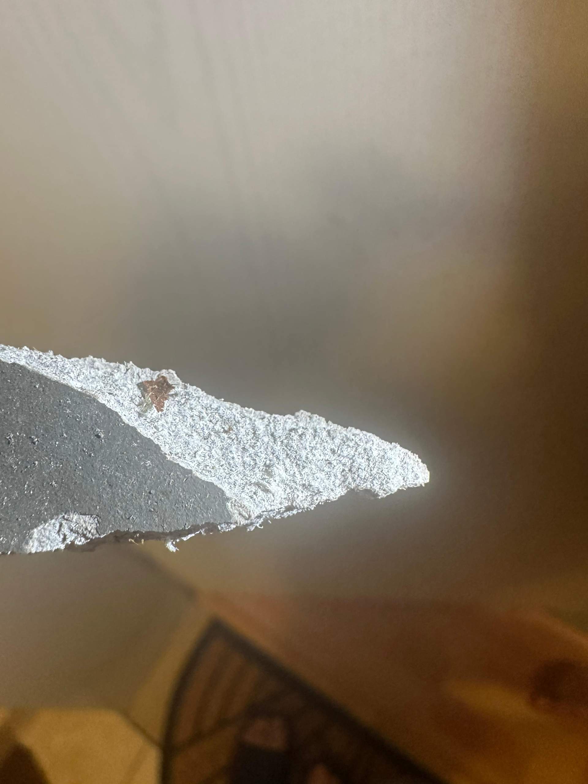 Asbest platten? (Haus, Renovierung, Asbestplatten)