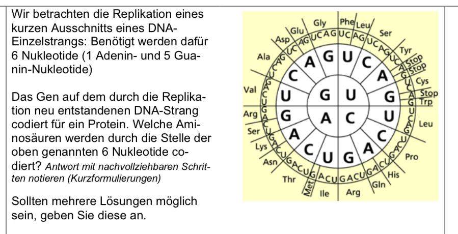 Aufgabe zur genetischen Sonne / Genetik? (Transkription ...