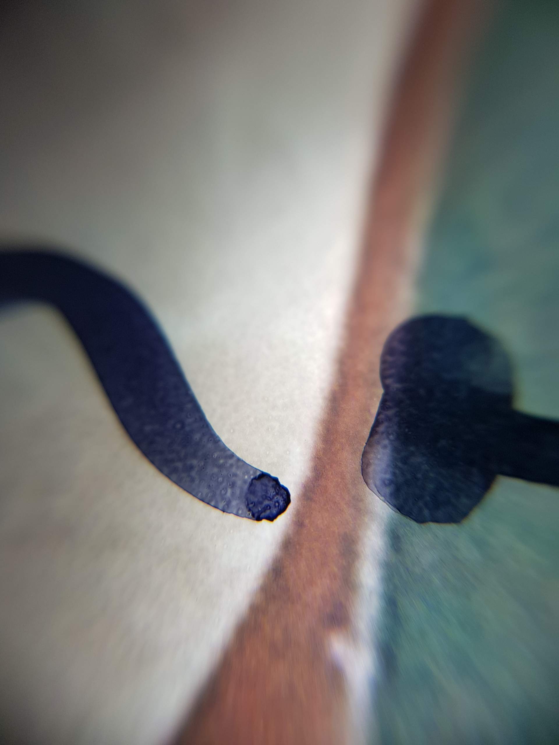 Autogramm Echtheit? (Autogrammkarten)