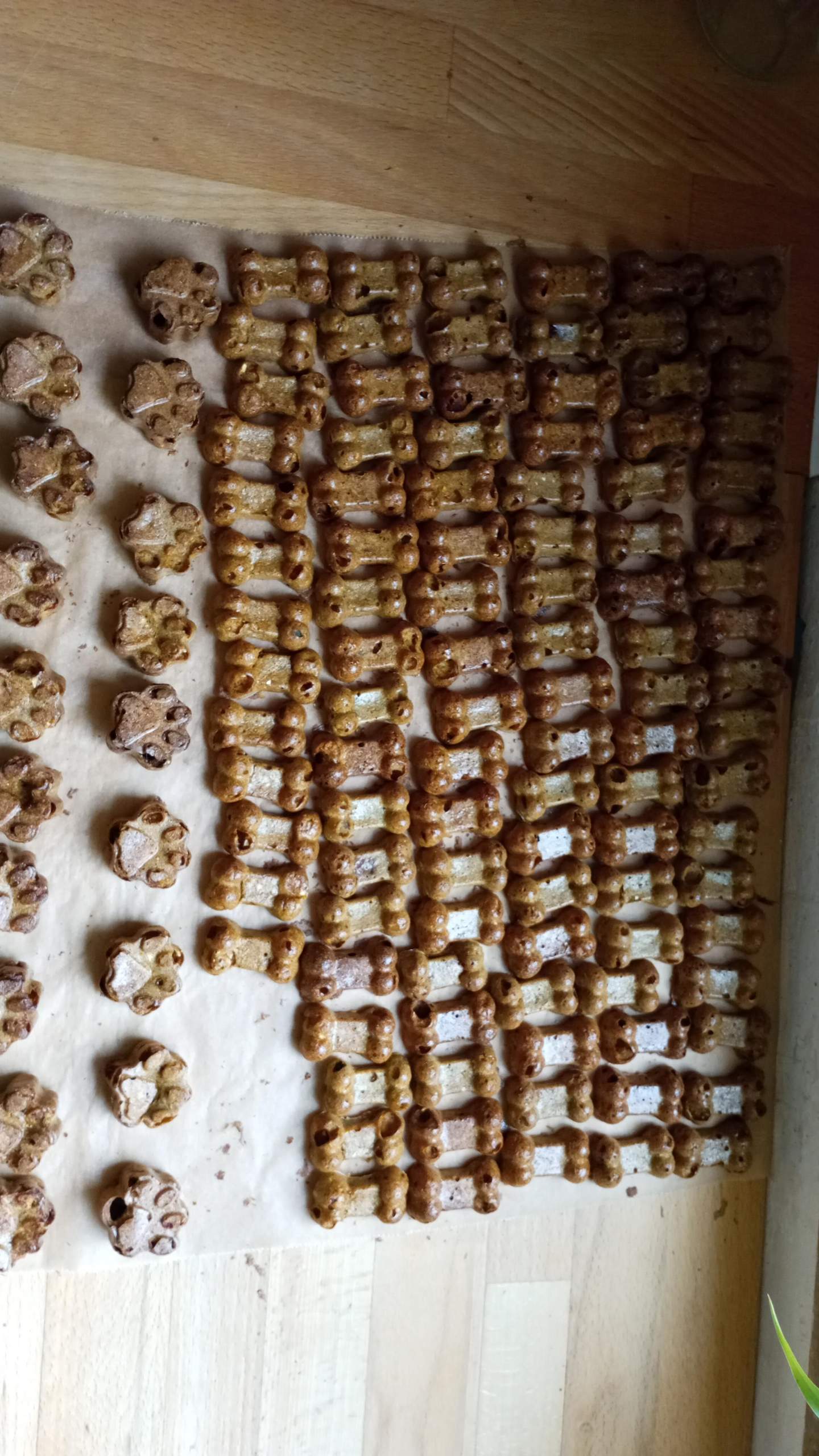 Backt ihr Hundeleckerlis selber? (selber machen)