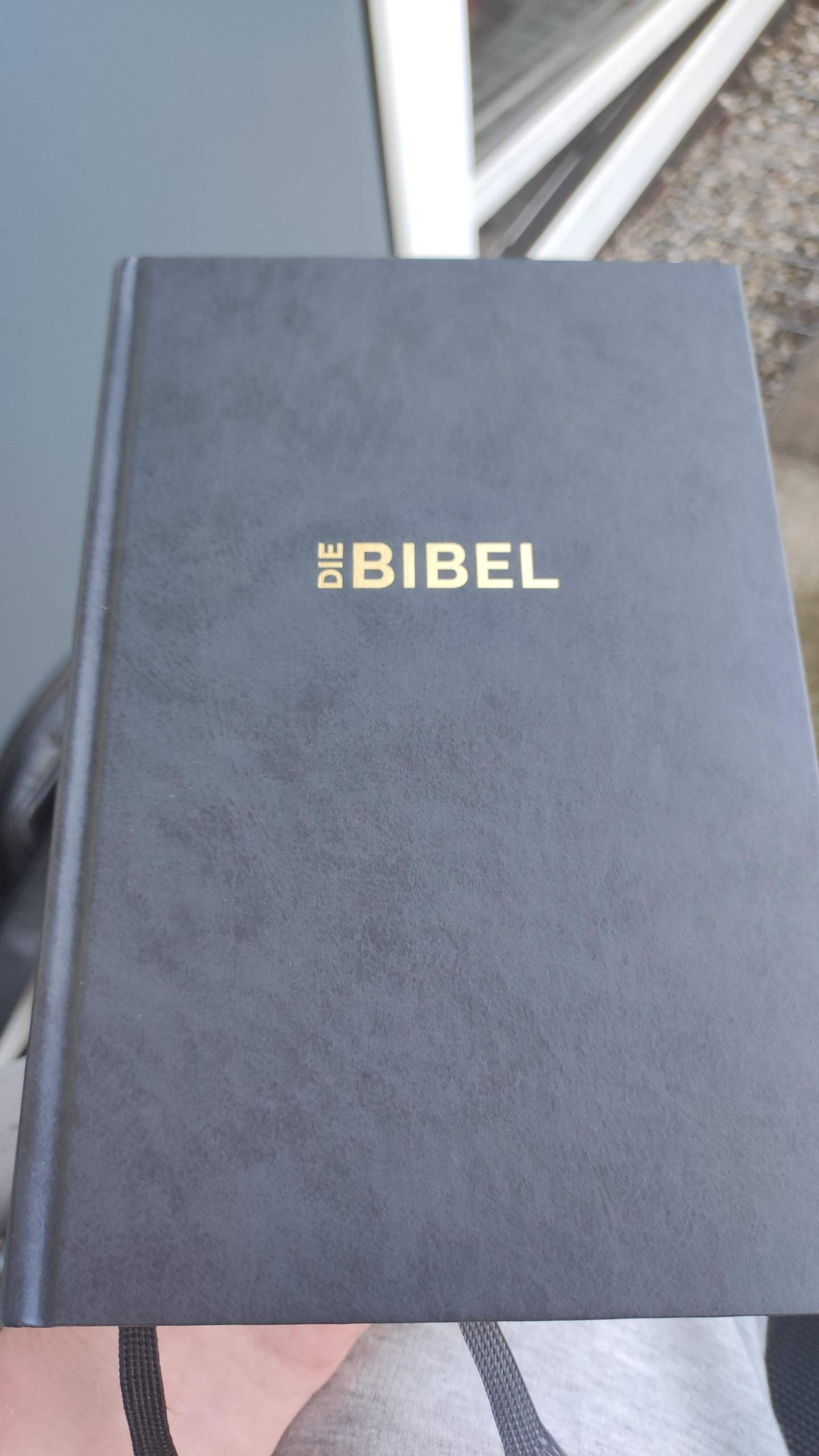Bibel in 365 Tagen? (Christentum)