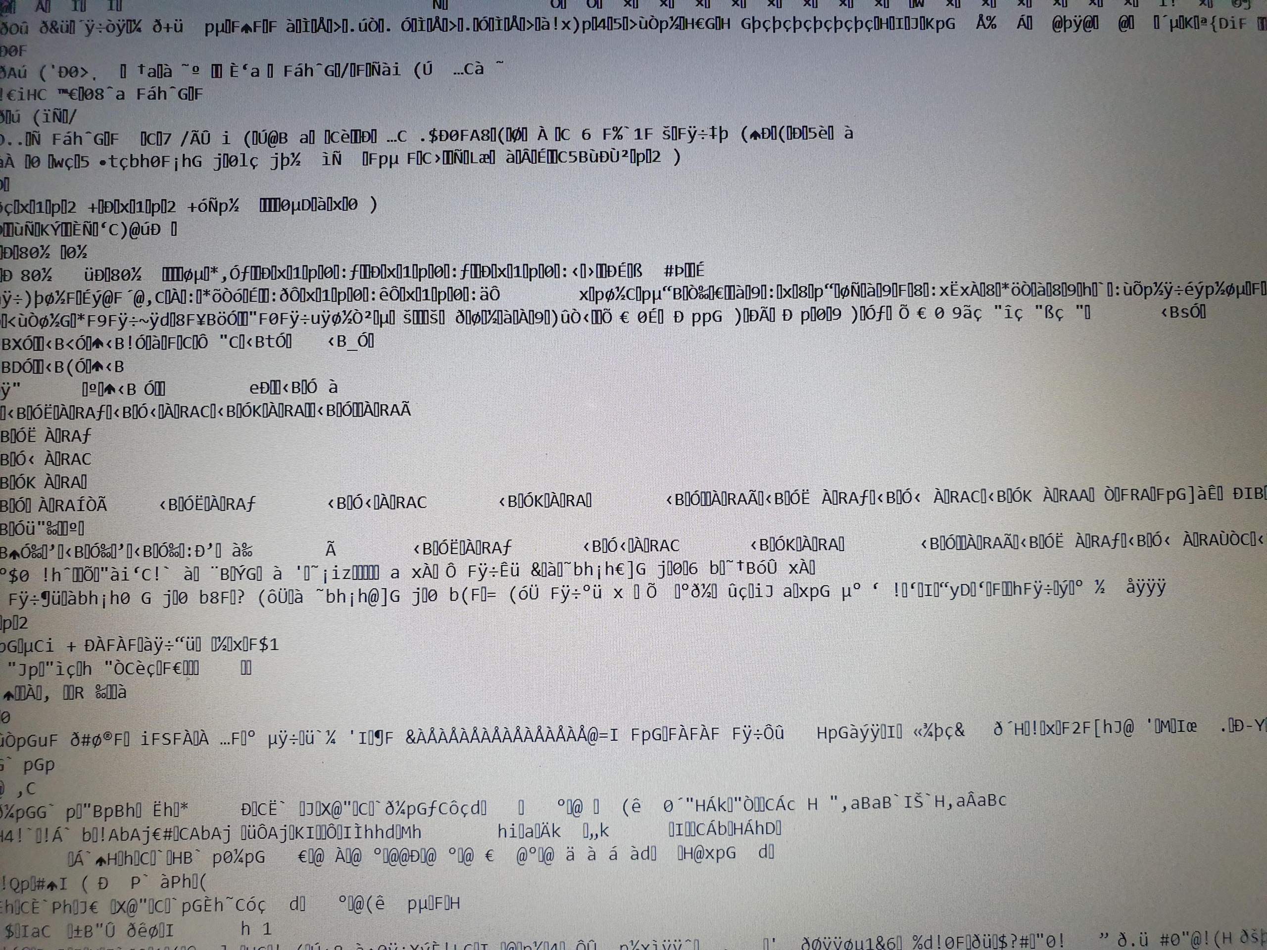 BIN-Datei lesen? (programmieren, Informatik)